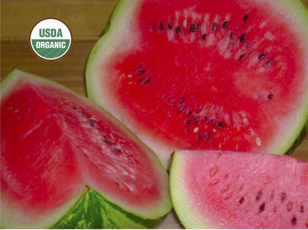 Melon: Sweet Dakota Rose Watermelon :: Coteau Community Market