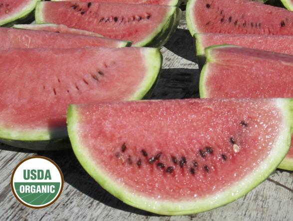 Melon: Sweet Dakota Rose Watermelon :: Coteau Community Market