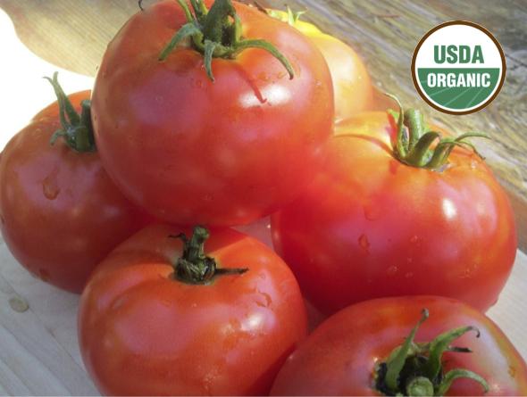 Tomato: Oregon Spring :: Coteau Community Market