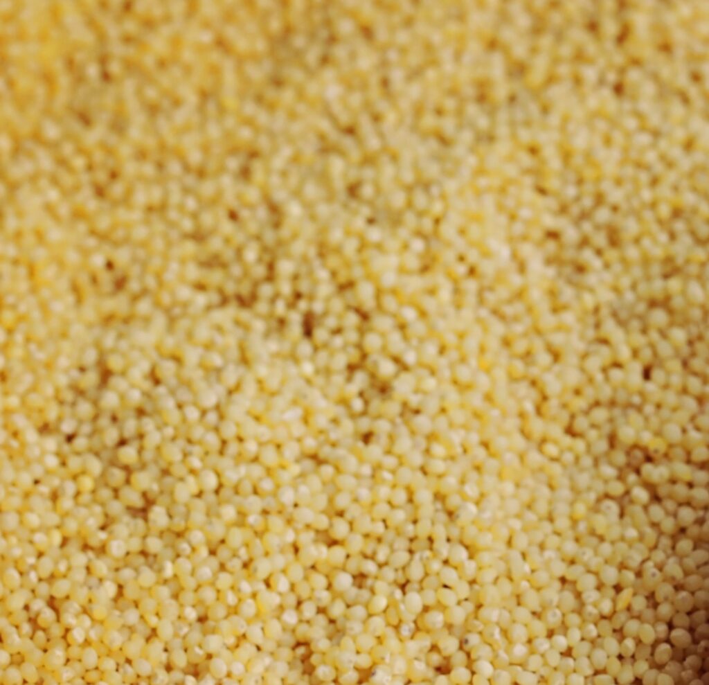 Millet, Hulled :: Coteau Community Market